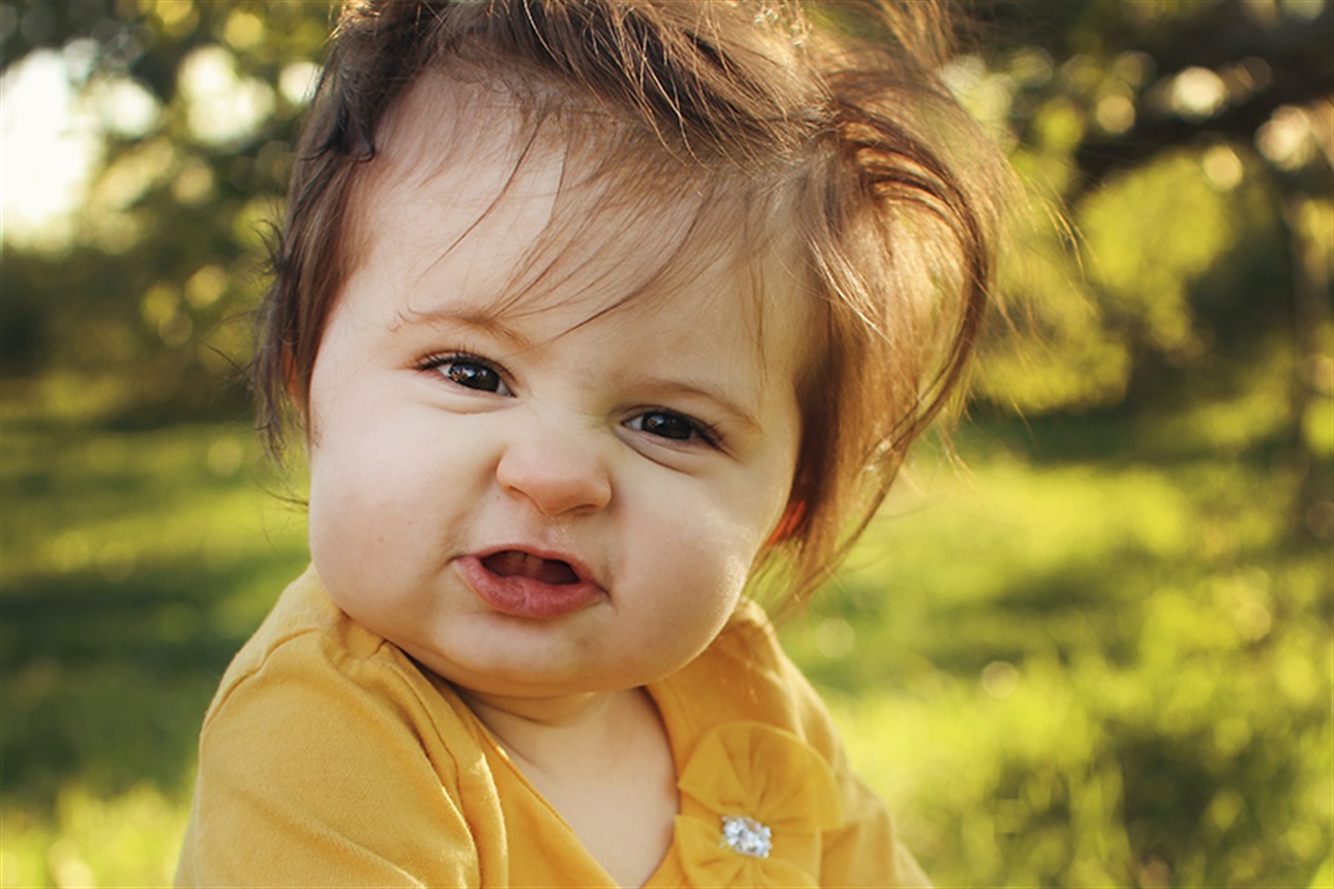 Toddler Time Burwood Council toddler-time-burwood-council